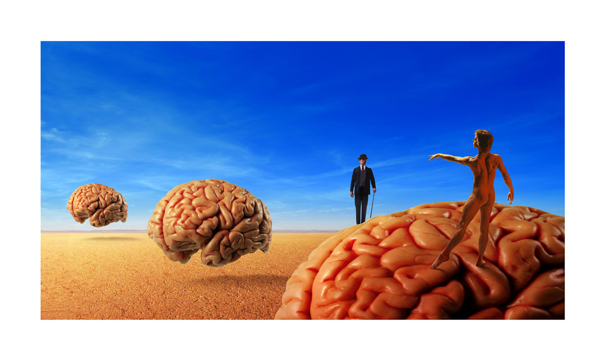 Rush, Hemispheres, by Hugh Syme – Musichead Gallery