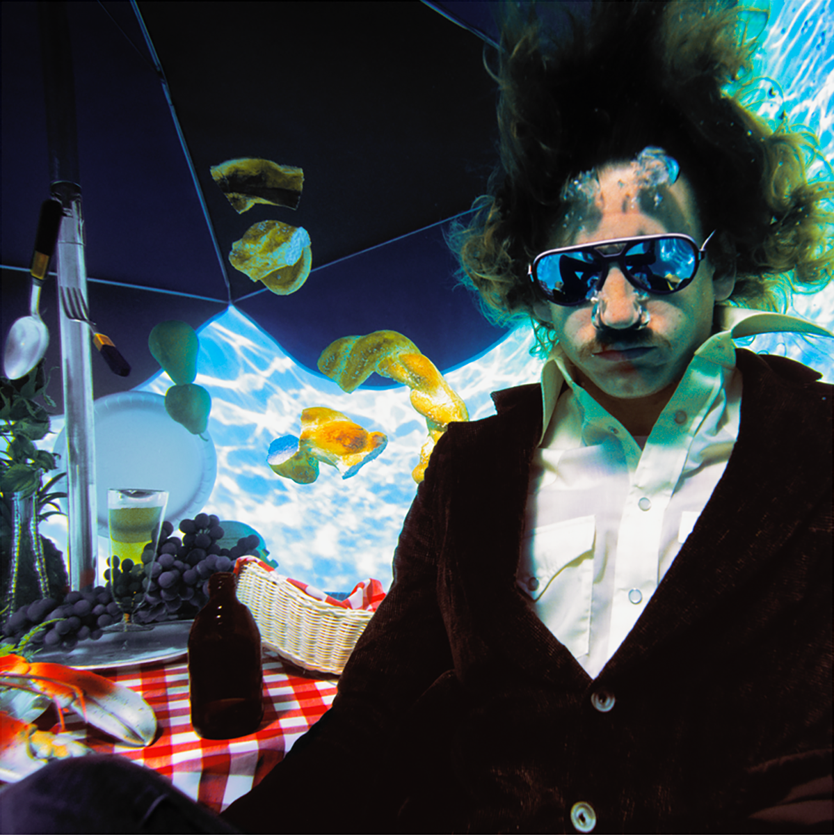 Joe Walsh, But Seriously Folks album cover, 1978 by Jimmy Wachtel ...